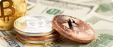 Trading Application Development | Daffodil Software