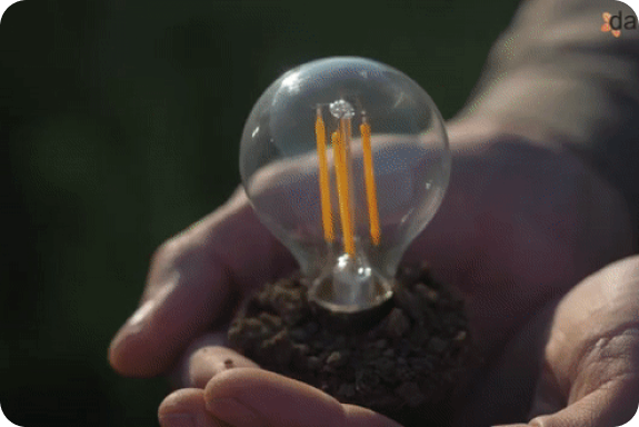 Custom Software Engineering Services | Daffodil Software