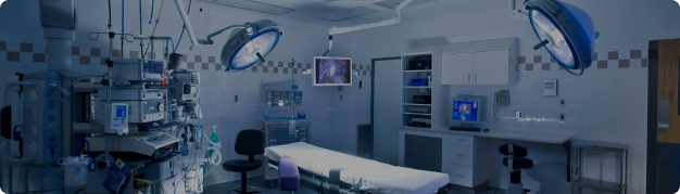 Custom Software Engineering Services | Daffodil Software