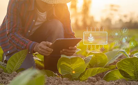 Case Study | B2B Marketplace Development | Daffodil Software