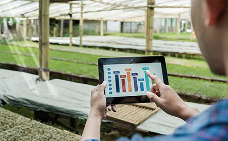 Case Study | B2B Marketplace Development | Daffodil Software