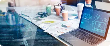 MERN Stack Development Company